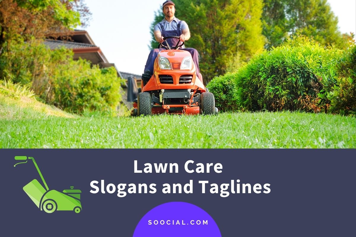 499 Lawn Care Slogans To Trim Your Competition Down Soocial