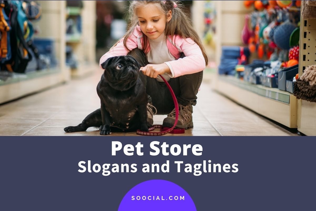 459 Pet Store Slogans And Taglines To Purr suade Customers Soocial