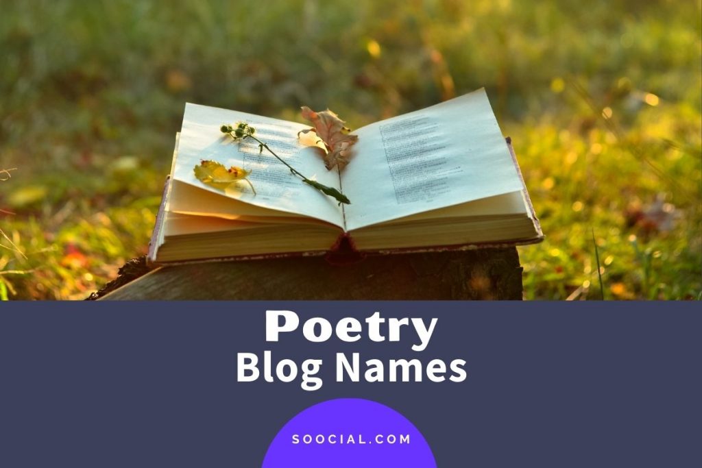 619 Poetry Blog Name Ideas Catchy And Unique Soocial
