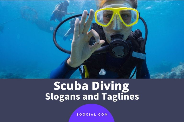 497 Scuba Diving Slogans and Taglines (Dive Into Success) - Soocial