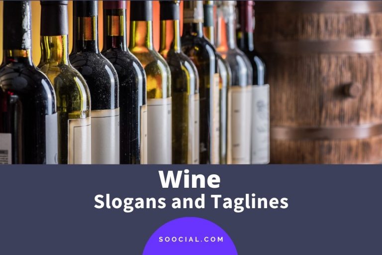 579 Wine Slogans and Taglines to Uncork Your Potential - Soocial