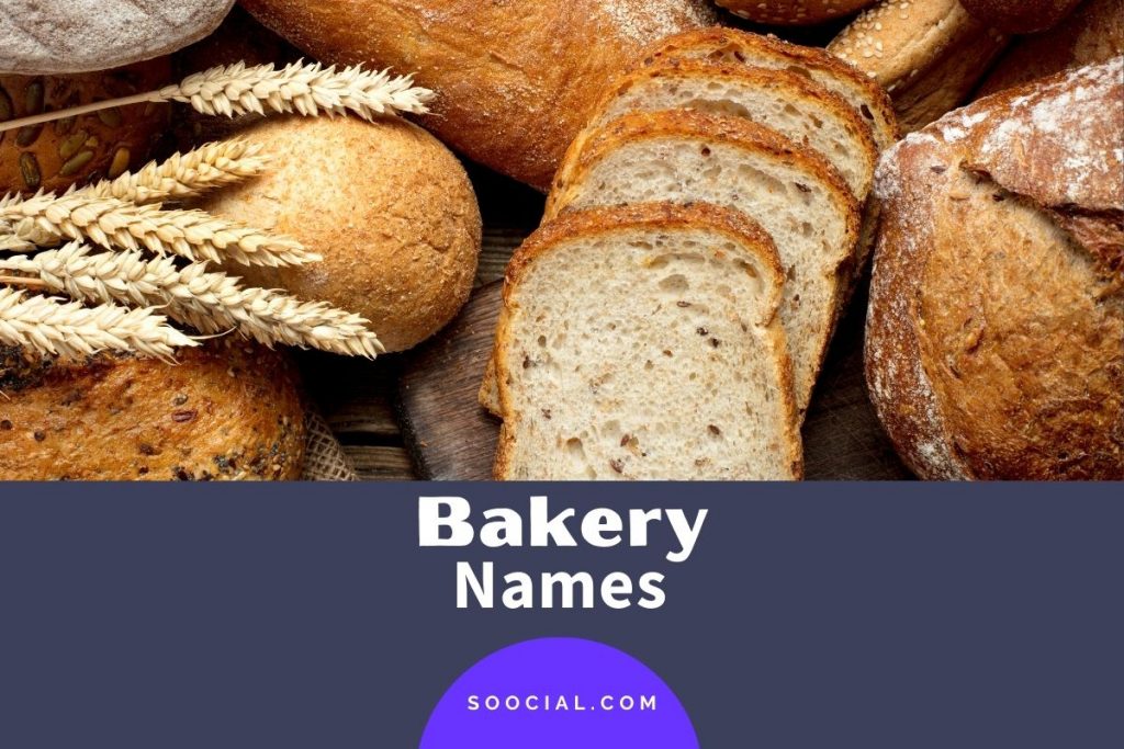 2703 Bakery Name Ideas To Bake Your Way To Success Soocial