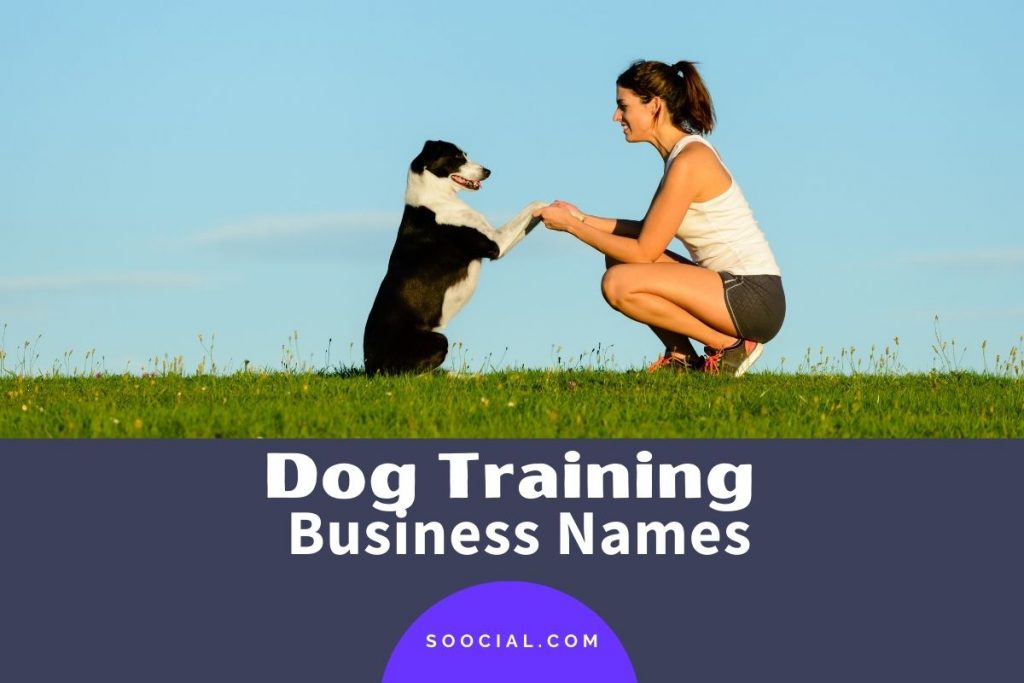 1237 Dog Training Business Names To Unleash Your Potential Soocial
