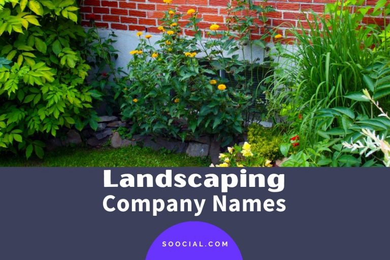 1475 Landscaping Company Name Ideas To Sprout Success - Soocial