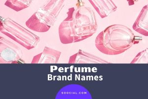 2221 Perfume Brand Name Ideas For Irresistible Sales - Soocial