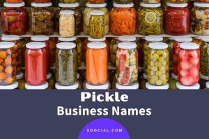 227 Catchy Pickle Business Name Ideas - Soocial