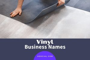 303 Vinyl Business Name Ideas to Get Into the Groove - Soocial
