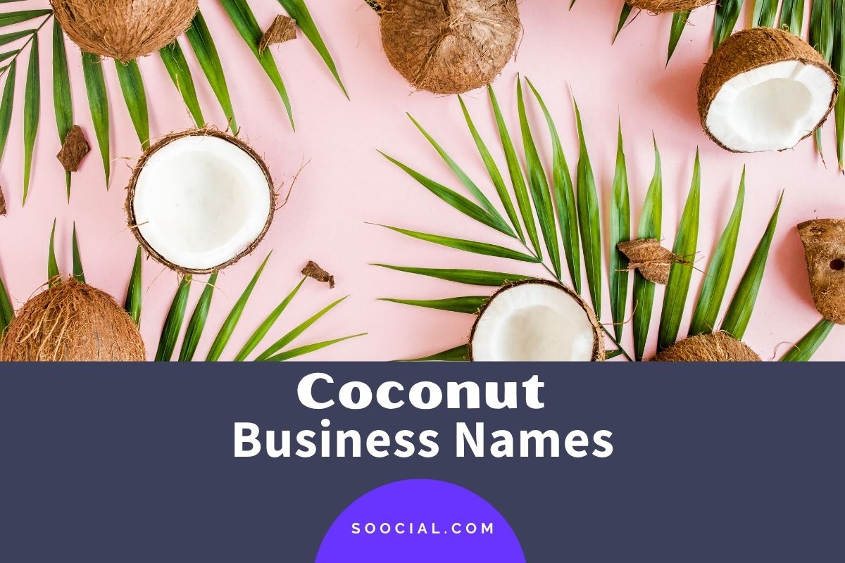235 Coconut Business Name Ideas With A Tropical Twist Soocial 235 Coconut Business Name Ideas With A Tropical Twist Soocial