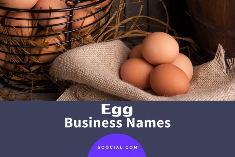 223 Egg Business Names to Put Your Eggs in One Basket - Soocial