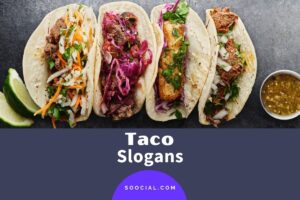 577 Catchy Taco Slogans To Spice Up Your Marketing - Soocial