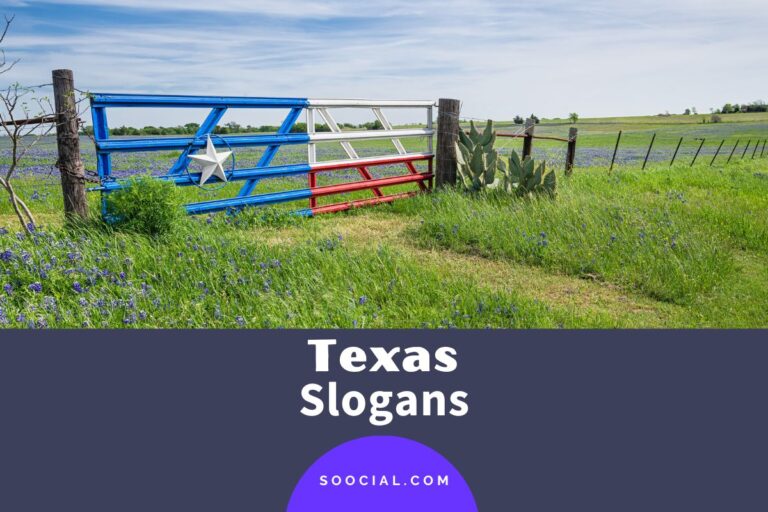 453 Texas Slogans That Will Have You Yee-Hawing! - Soocial