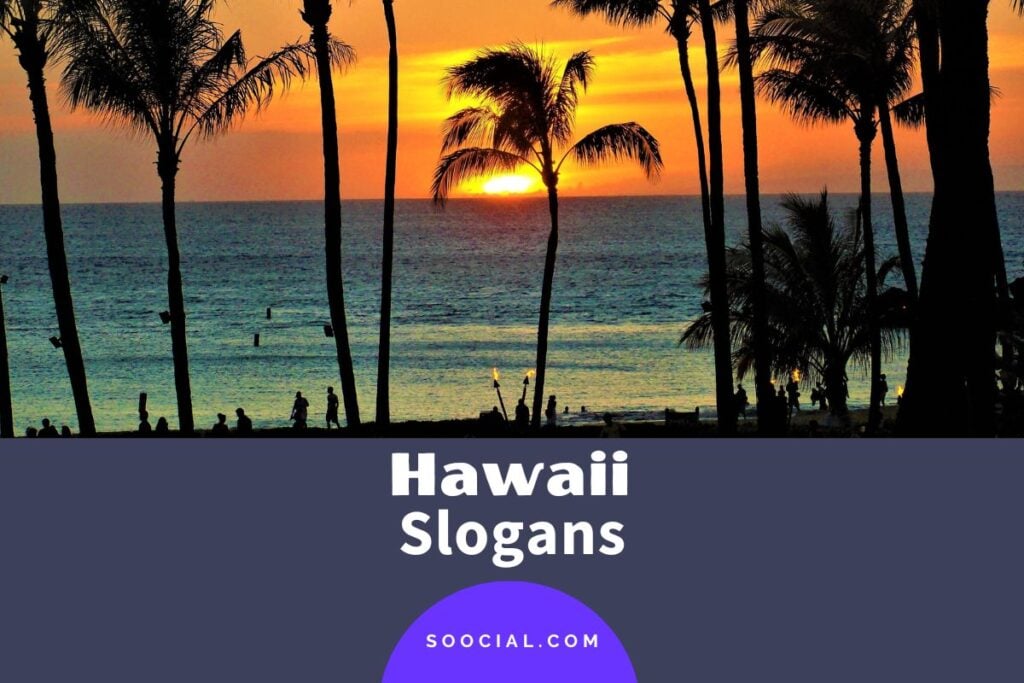 337 Hawaii Slogans That Describe The Aloha State - Soocial