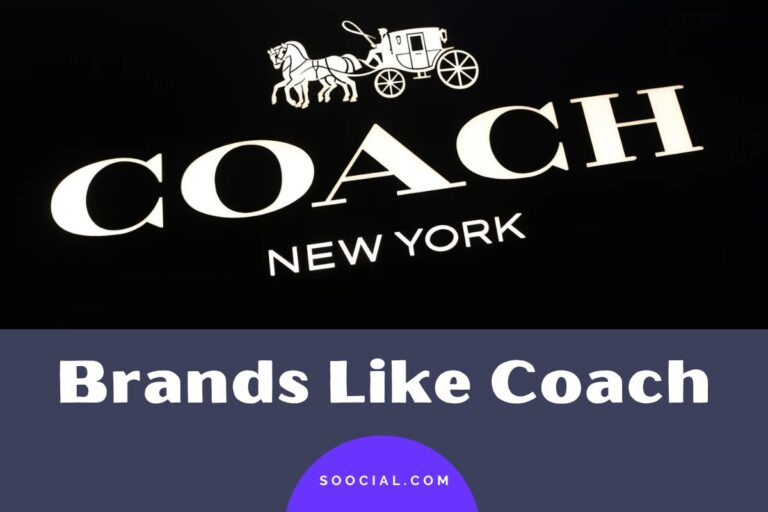 12 Brands Like Coach (Just As Sleek And Luxurious) - Soocial