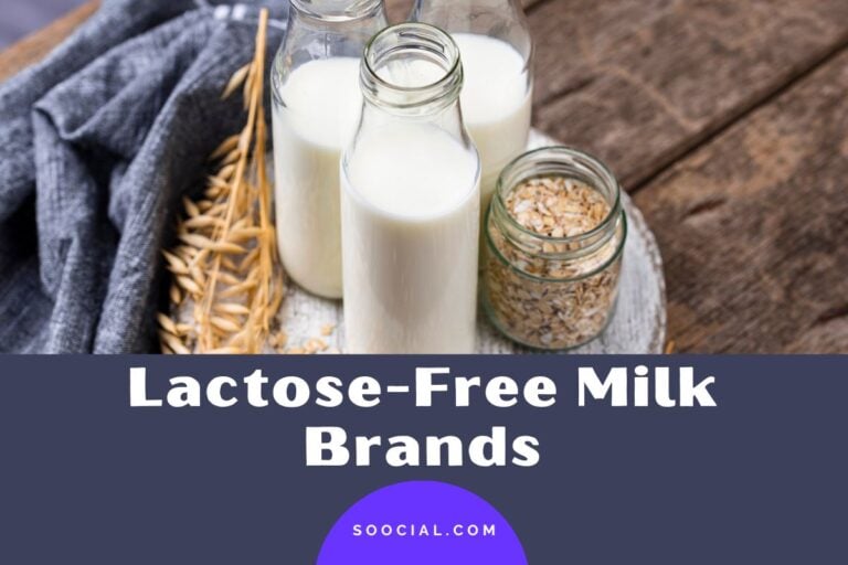 10 Lactose-Free Milk Brands That Taste Delicious - Soocial