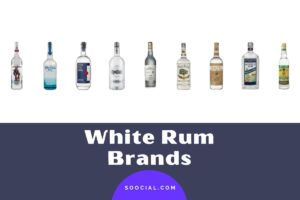 20 White Rum Brands For Your Next Cocktail Party - Soocial