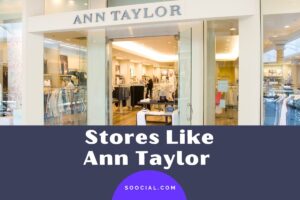 20 Stores Like Ann Taylor (To Upgrade Your 9-5 Wardrobe) - Soocial