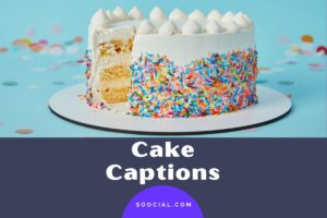 580 Cake Captions That Say It With (Sugary) Sweetness - Soocial