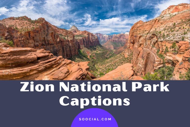 539 Zion National Park Captions To Rock Your World! - Soocial