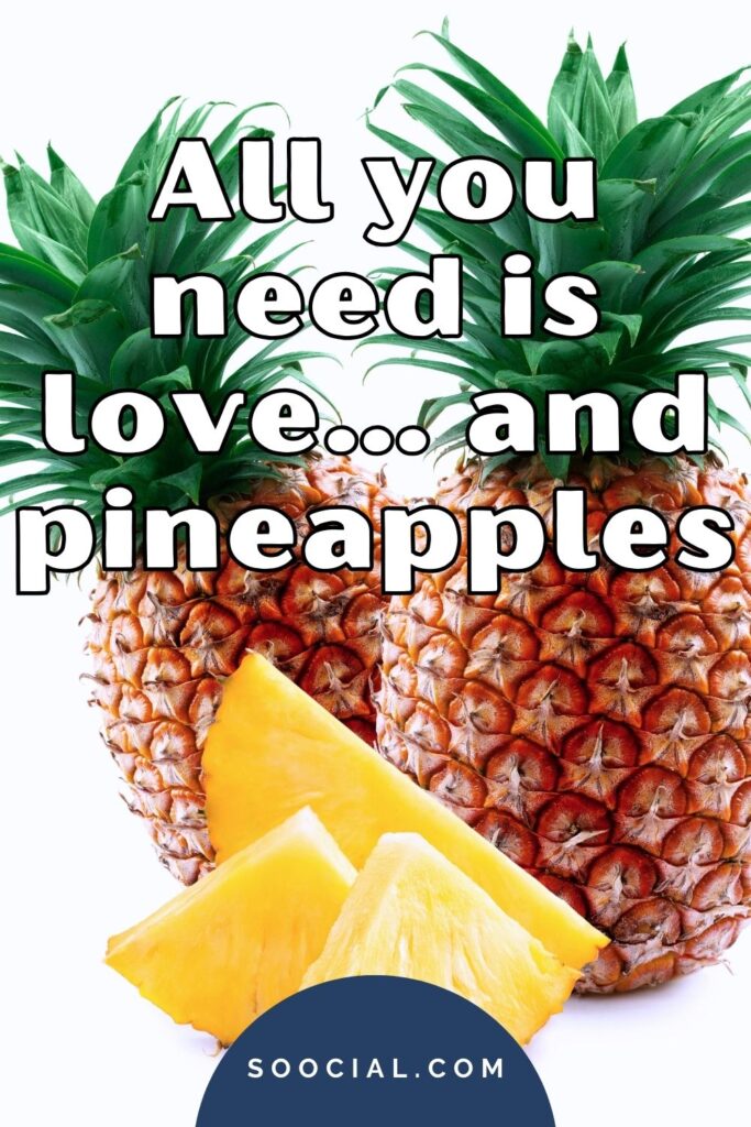 424 Pineapple Captions For Your Endless Tropical Vibes - Soocial
